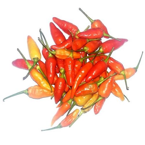 Hot Chili/Cabe (100g) – Cantina Canggu