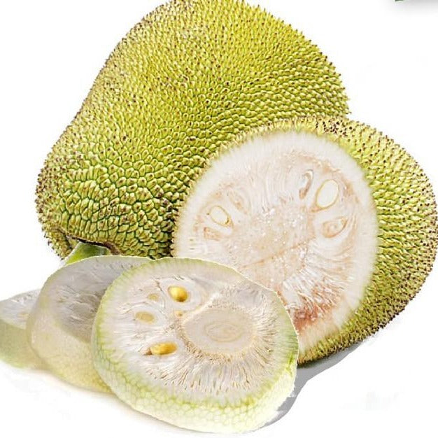 Jackfruit (vegetable) (500g) – Cantina Canggu